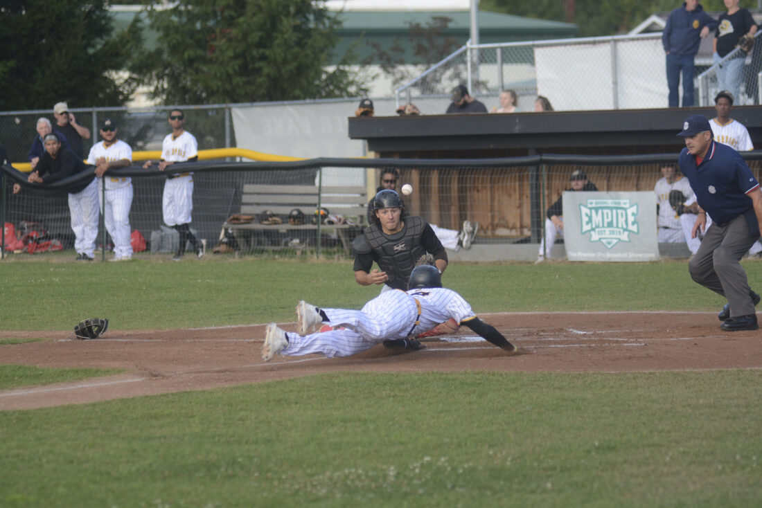 Riverpigs to open season today | News, Sports, Jobs - Adirondack Daily ...